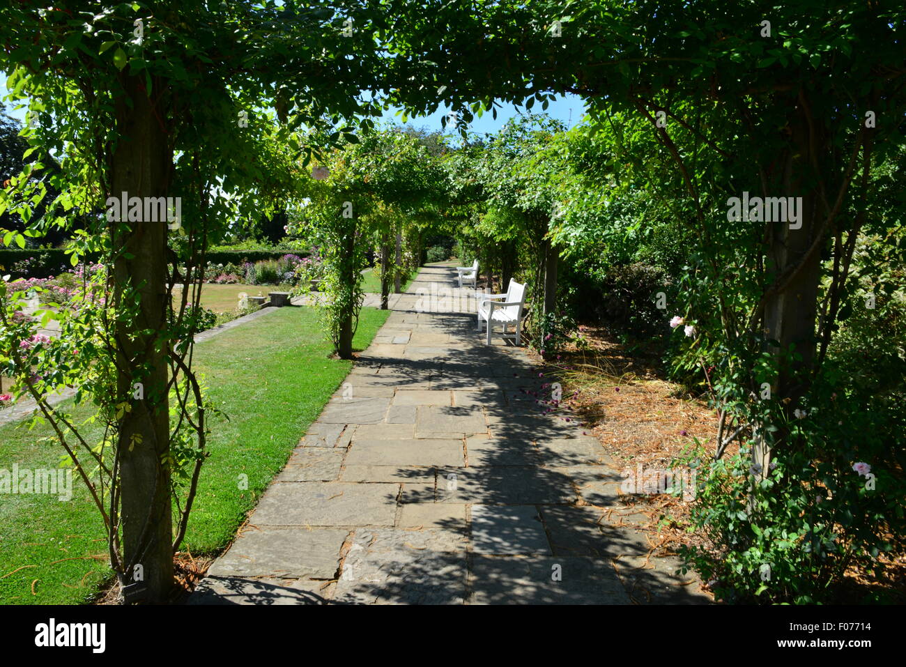 An Italian Rose garden in Kent with a pathway Stock Photo - Alamy