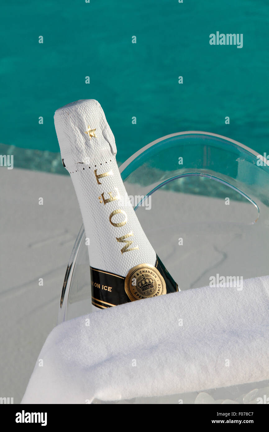 Champagne Moet white bottle detail by the pool Stock Photo - Alamy