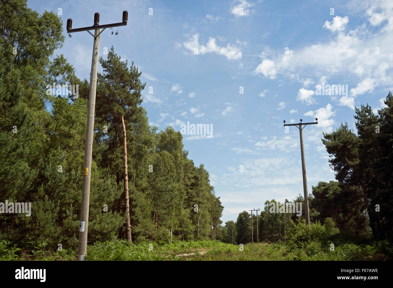 Electricity poles without wires which have been placed underground in ...