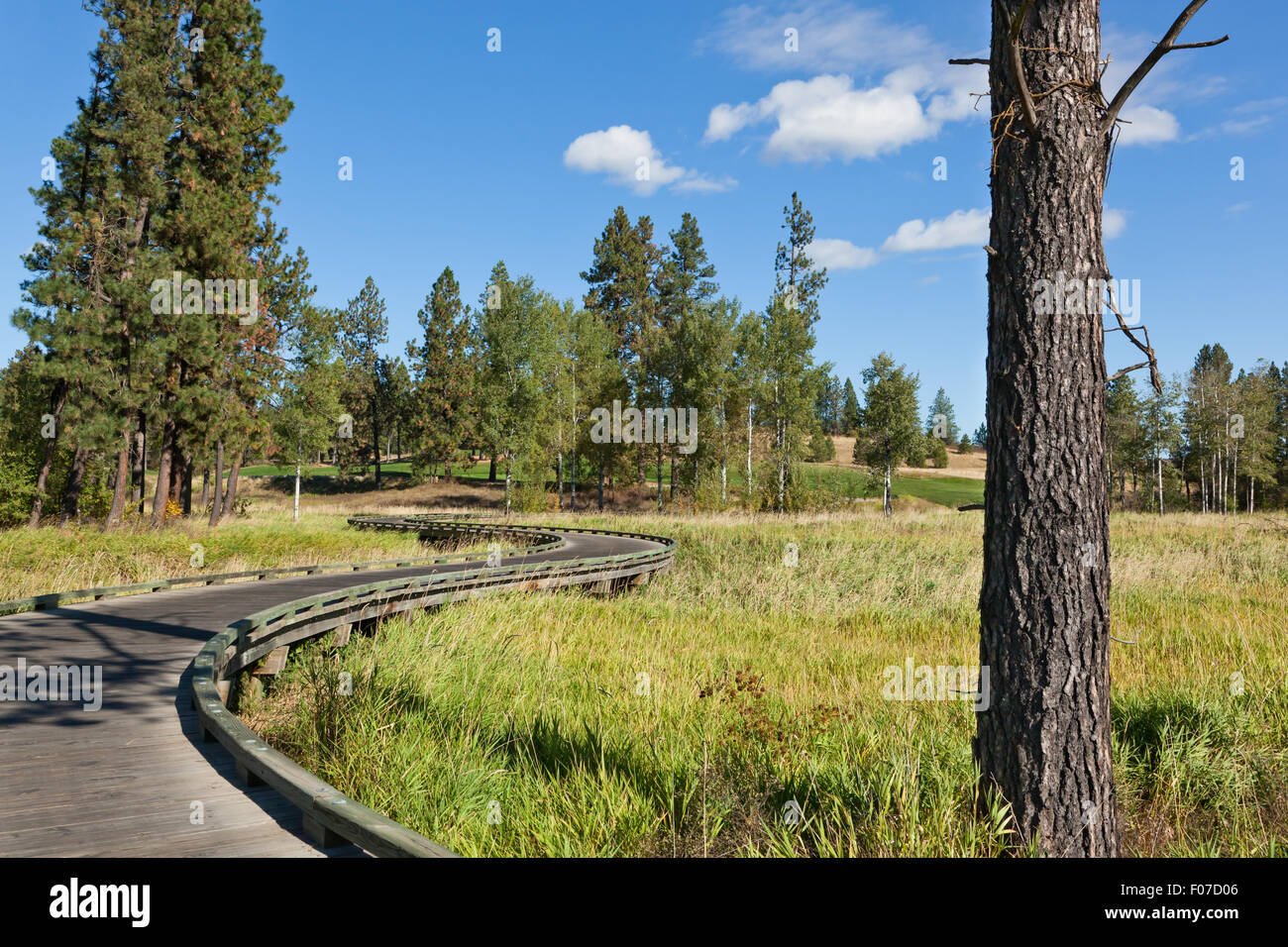 Golf cart pathway hi-res stock photography and images - Alamy