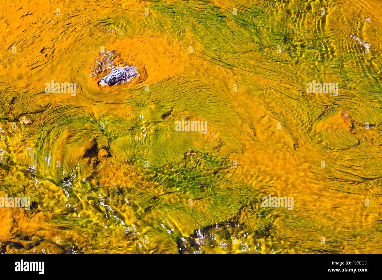Hot springs algae hi-res stock photography and images - Alamy