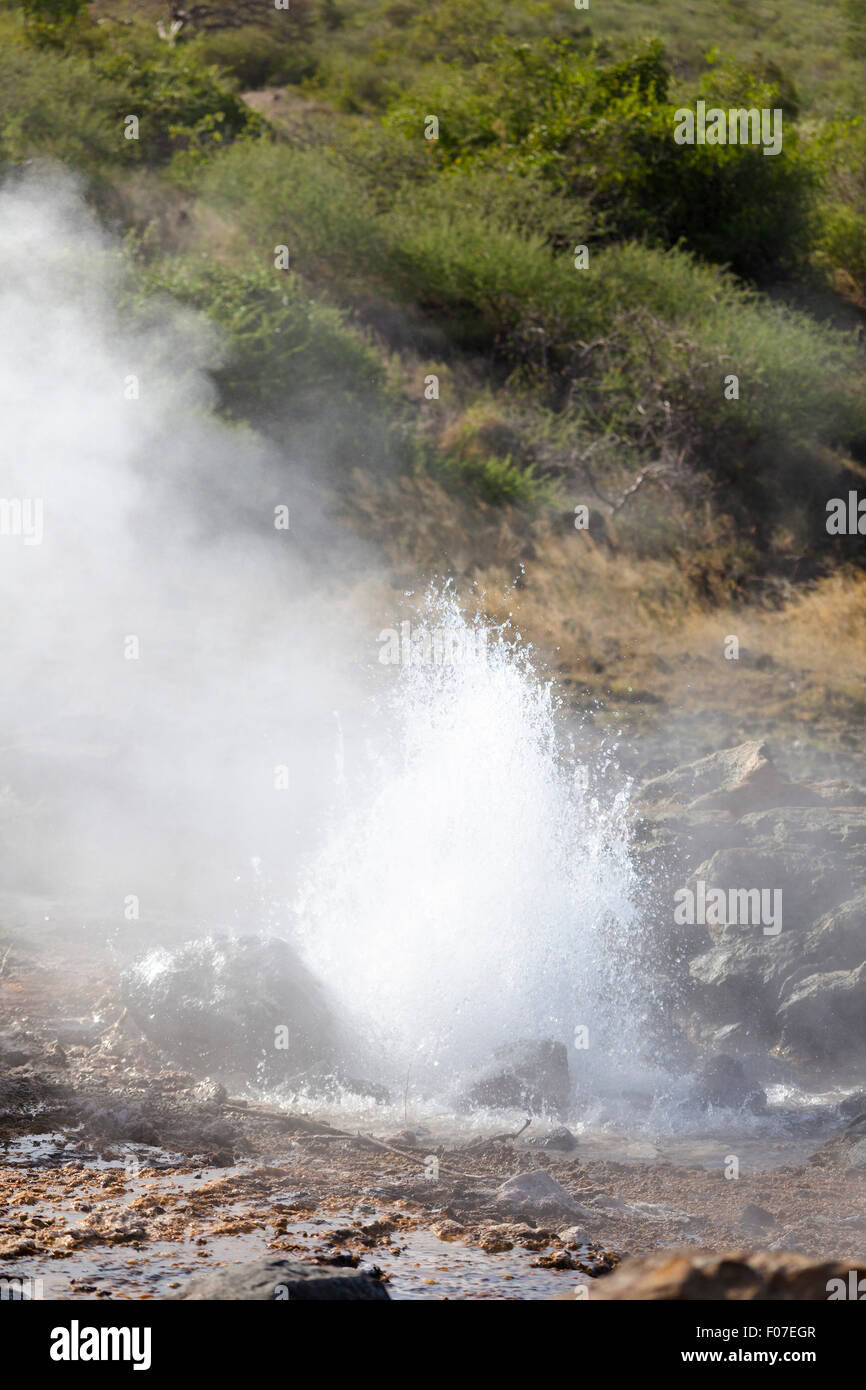 Detail of a geyser at Lake Bogoria in Kenya Stock Photo - Alamy