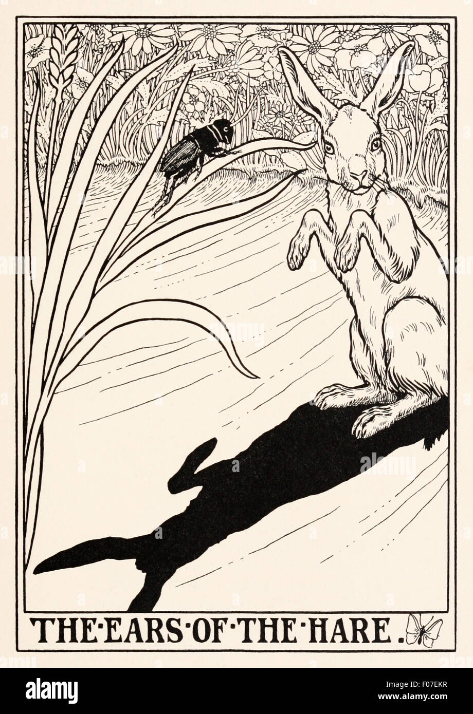 'The Ears of the Hare' fable by Aesop (circa 600BC). A hurt Lion banned ...