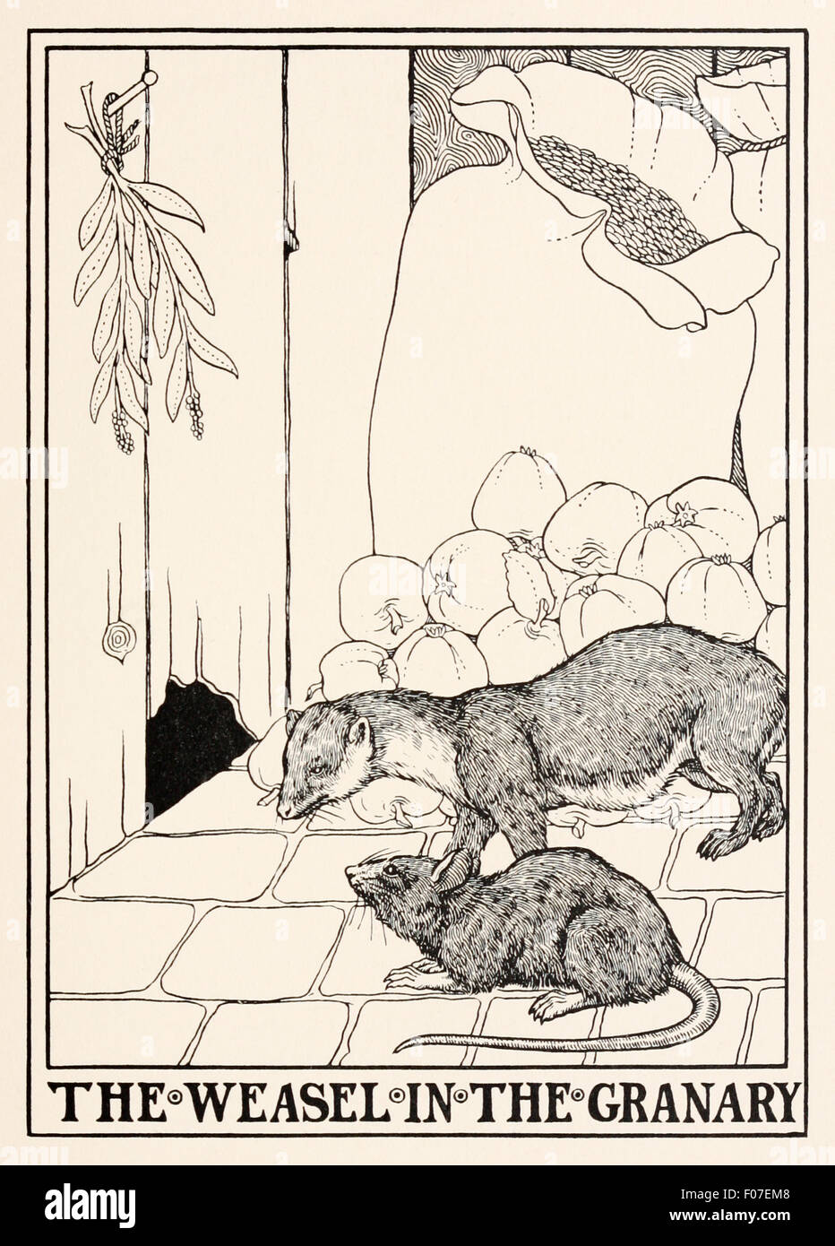 Weasel illustration hi-res stock photography and images - Alamy