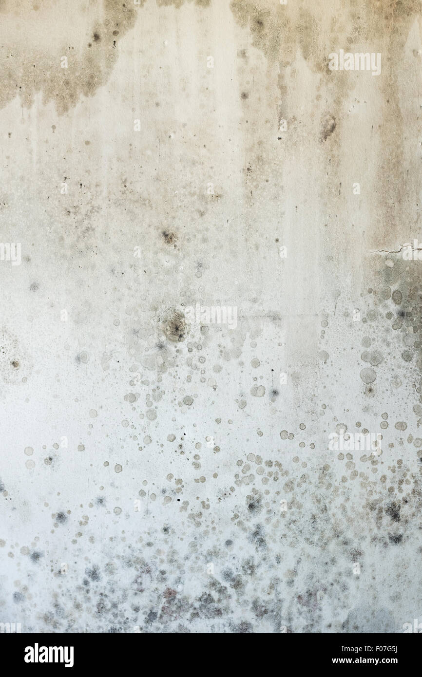 Dirty, stained and worn wall texture background Stock Photo - Alamy