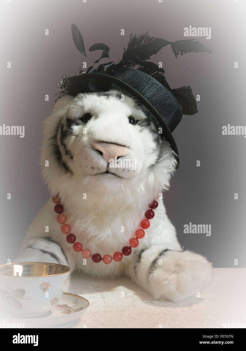 Pretend play stuffed animal hi-res stock photography and images - Alamy