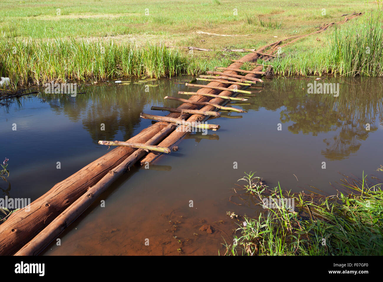 The famous Ondiri Swamp in Kikuyu near Nairobi in Kenya. The floating ...