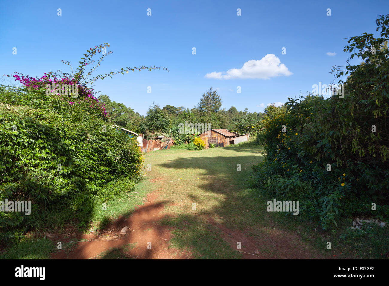 Kikuyu hi-res stock photography and images - Alamy