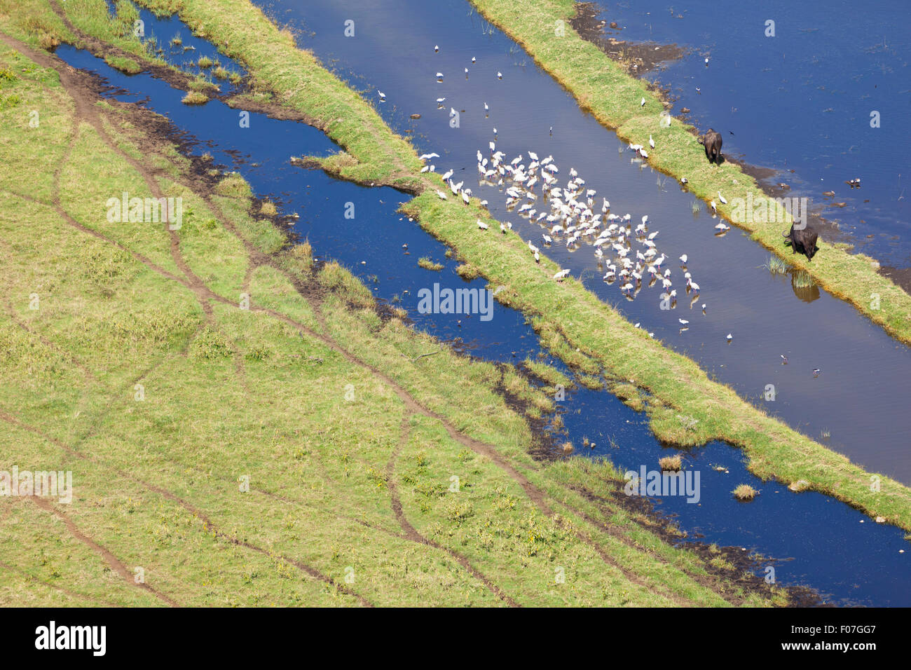 Nakuru Lake Aerial High Resolution Stock Photography and Images - Alamy