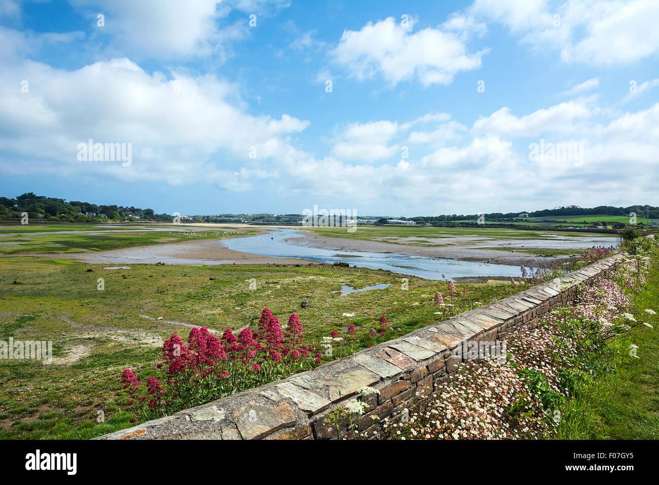Rspb hayle estuary hi-res stock photography and images - Alamy