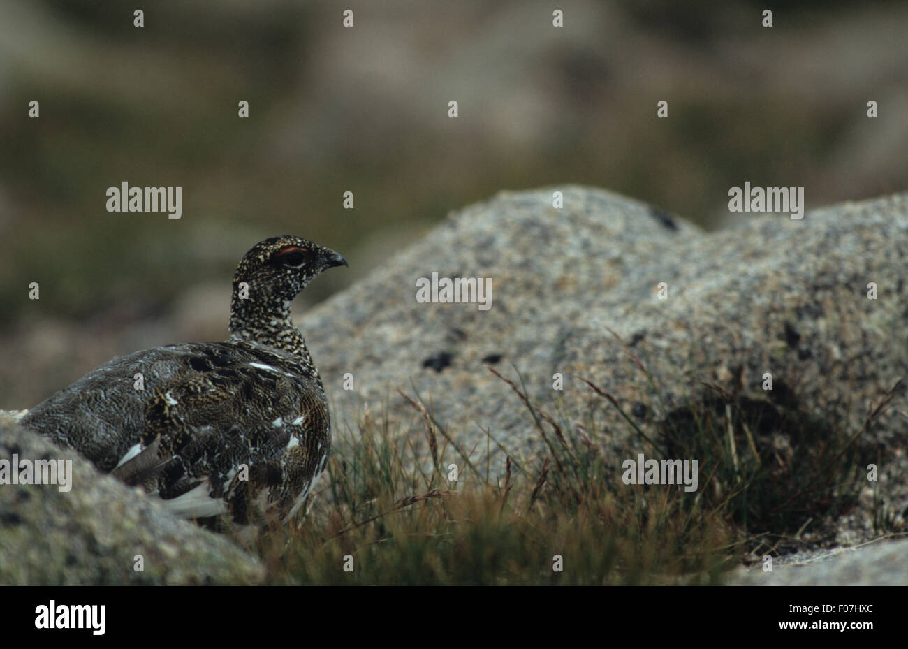 Walking through the rocks hi-res stock photography and images - Alamy