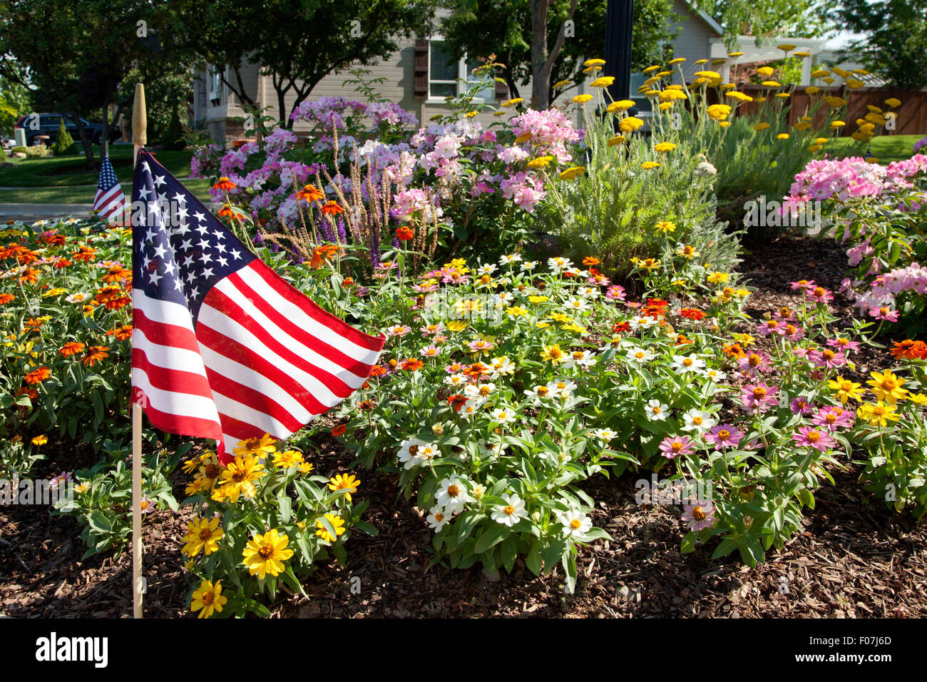 American flag and summer flowers, 2015 Stock Photo - Alamy