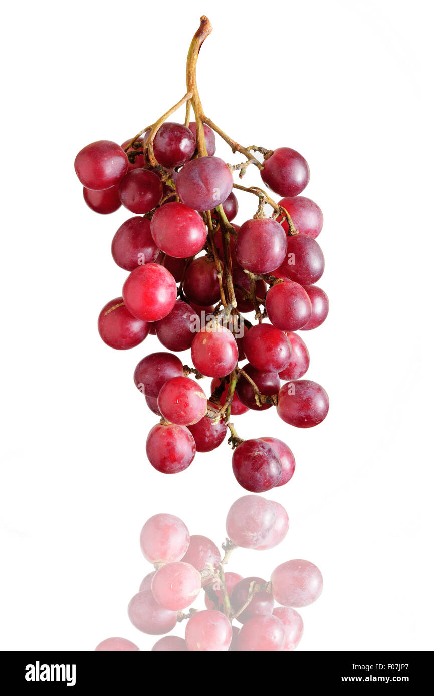 Fresh italian fruit, summer fruit, shoot taken on studio, isolated ...
