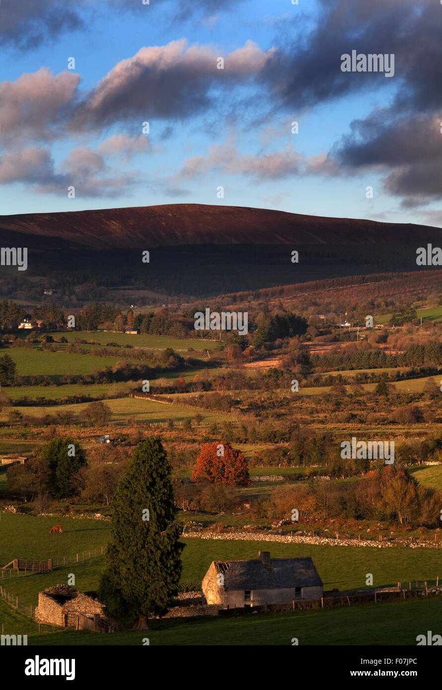 Blackstairs mountains hi-res stock photography and images - Alamy