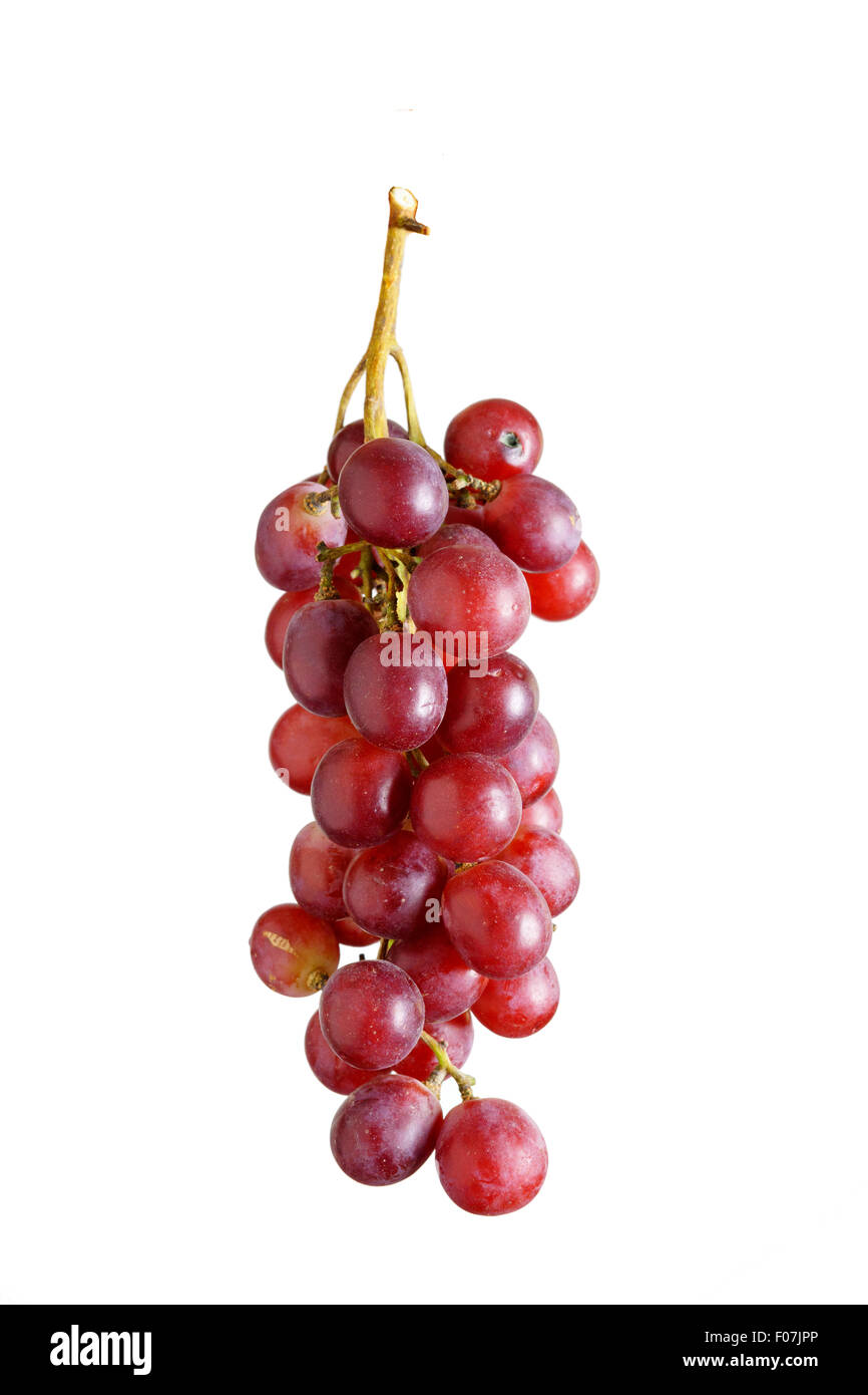 Fresh italian fruit, summer fruit, shoot taken on studio, isolated ...