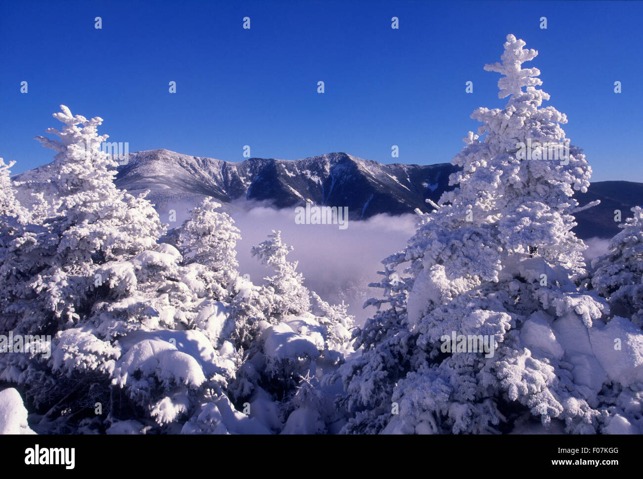View of Mt. Lafayette from Cannon Mt., Franconia Notch, New Hampshire ...