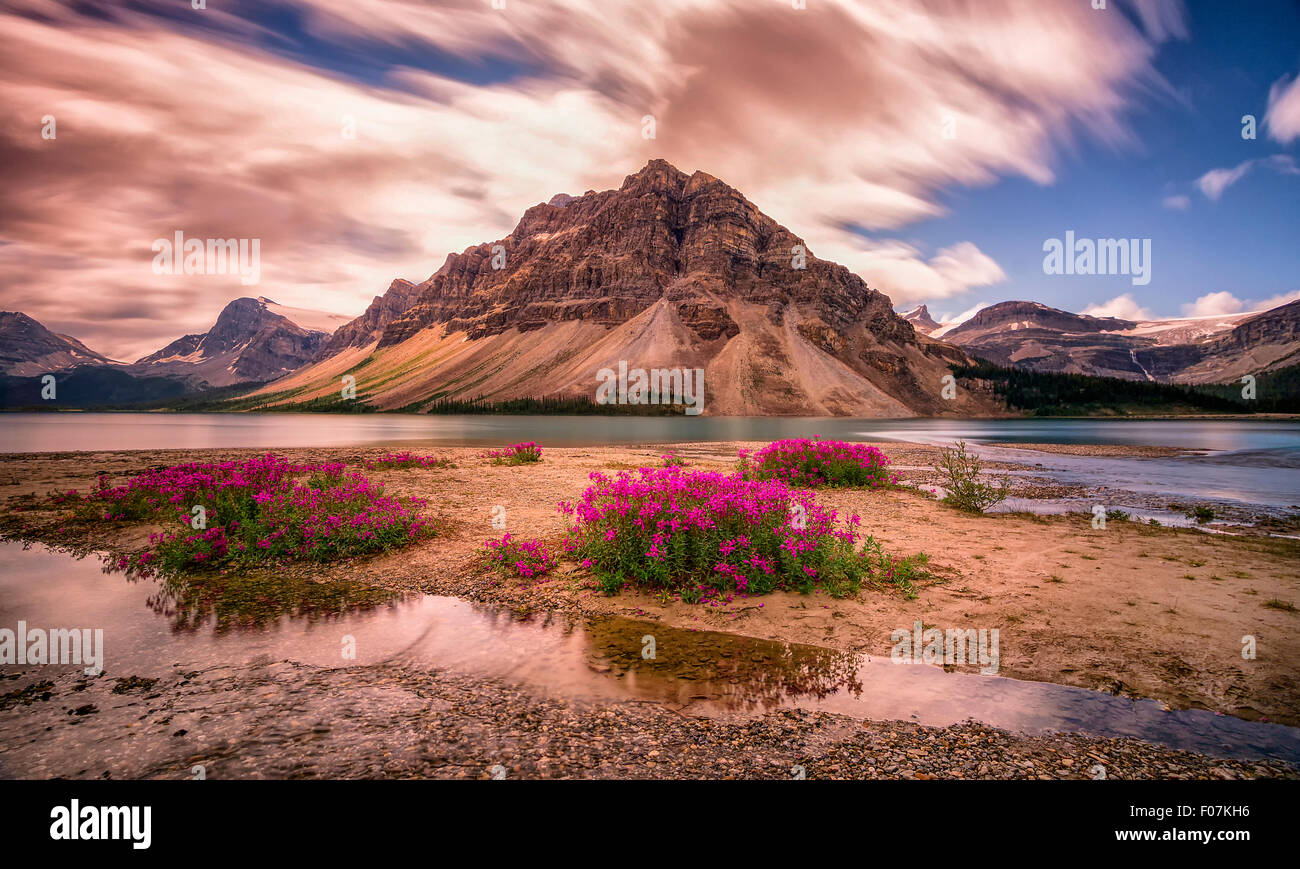Bow Lake, Banff National Park Stock Photo - Alamy