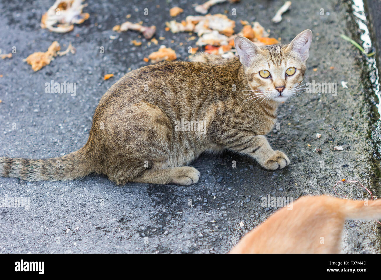 Side walk hi-res stock photography and images - Alamy