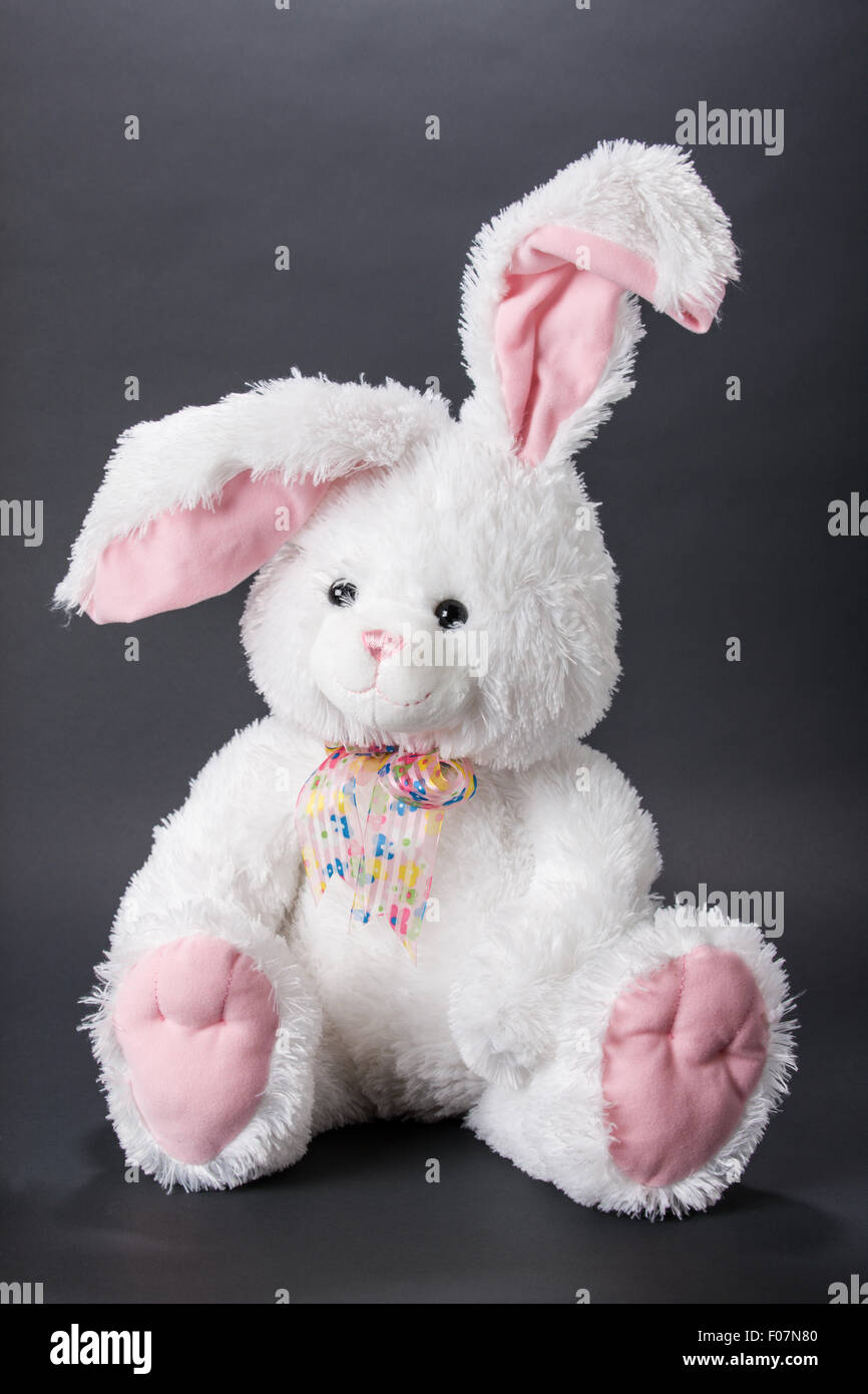 Stuffed Rabbit High Resolution Stock Photography and Images - Alamy