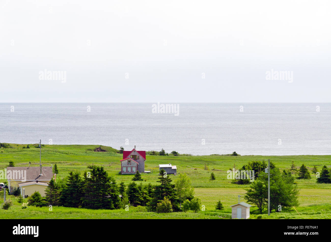 Newfoundland coast in summer time Stock Photo - Alamy
