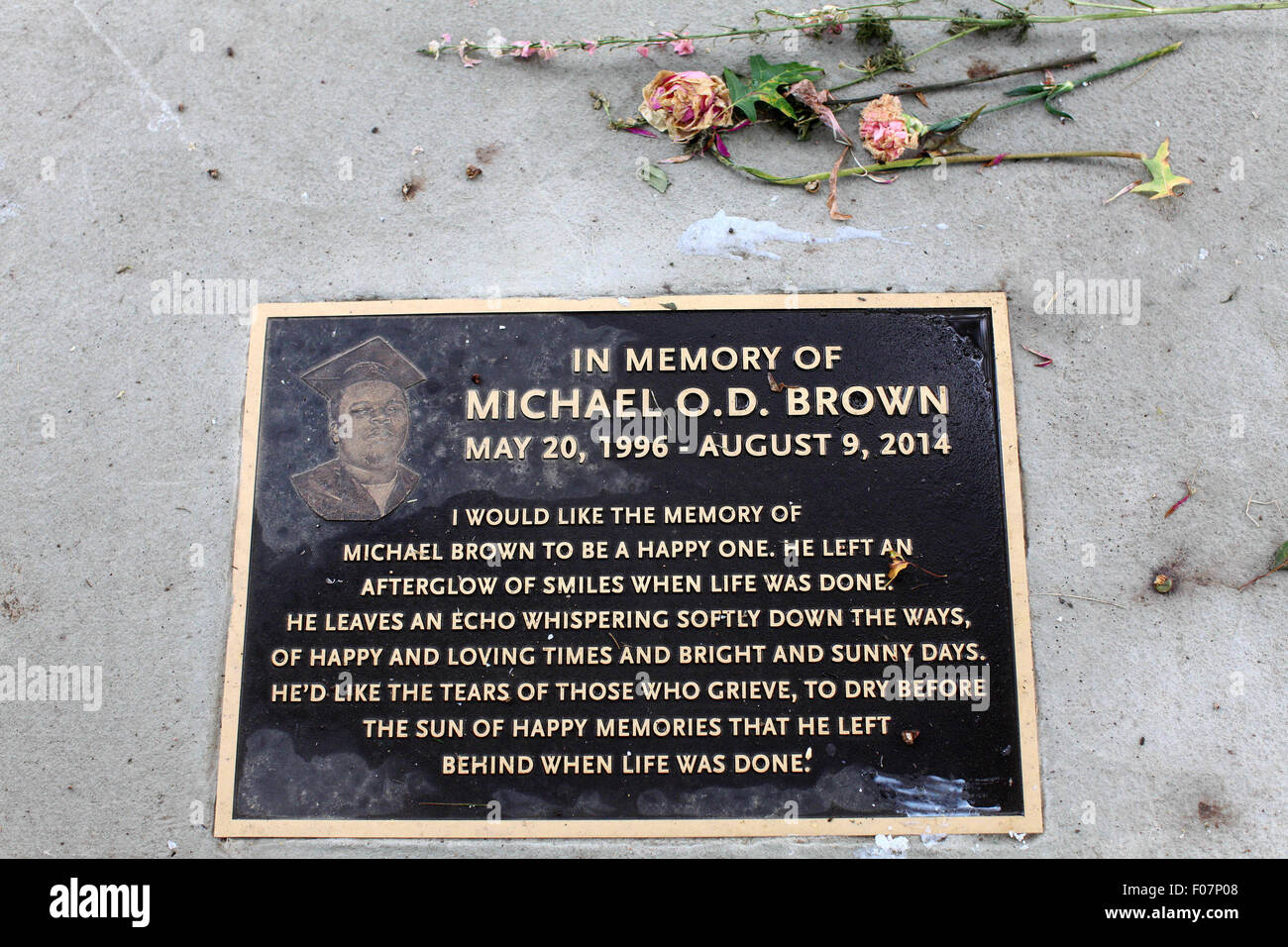 Michael canfield hi-res stock photography and images - Alamy