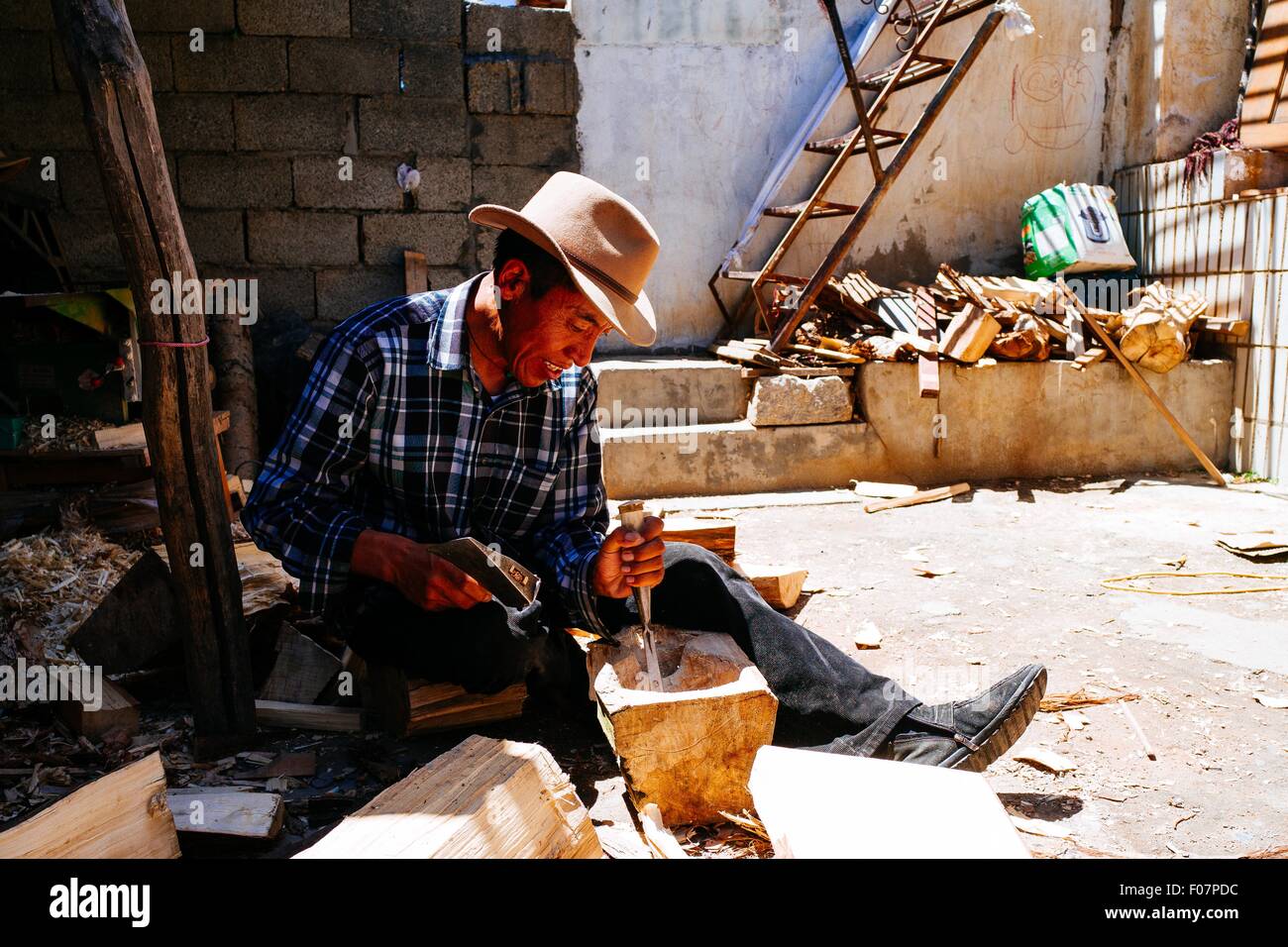 Plucked instruments hi-res stock photography and images - Alamy