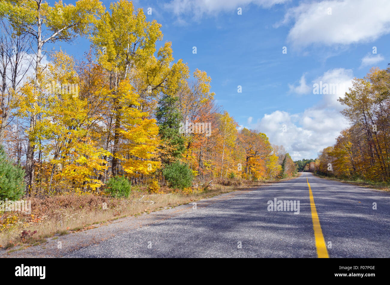 Falls colorful trees in park. Ontario, Canada Stock Photo - Alamy