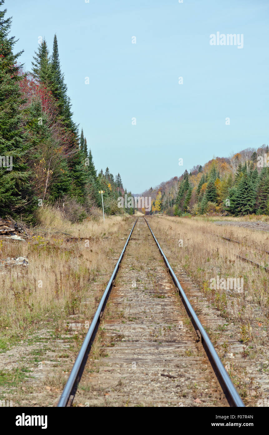 Canada northern ontario forest railway hi-res stock photography and ...
