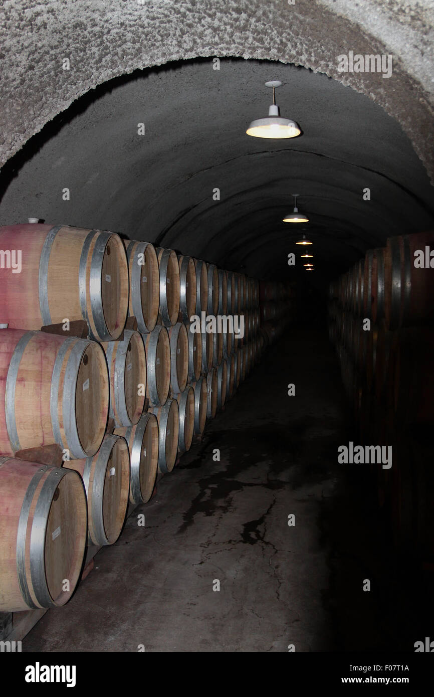 Row of barrels in dark basement Stock Photo - Alamy