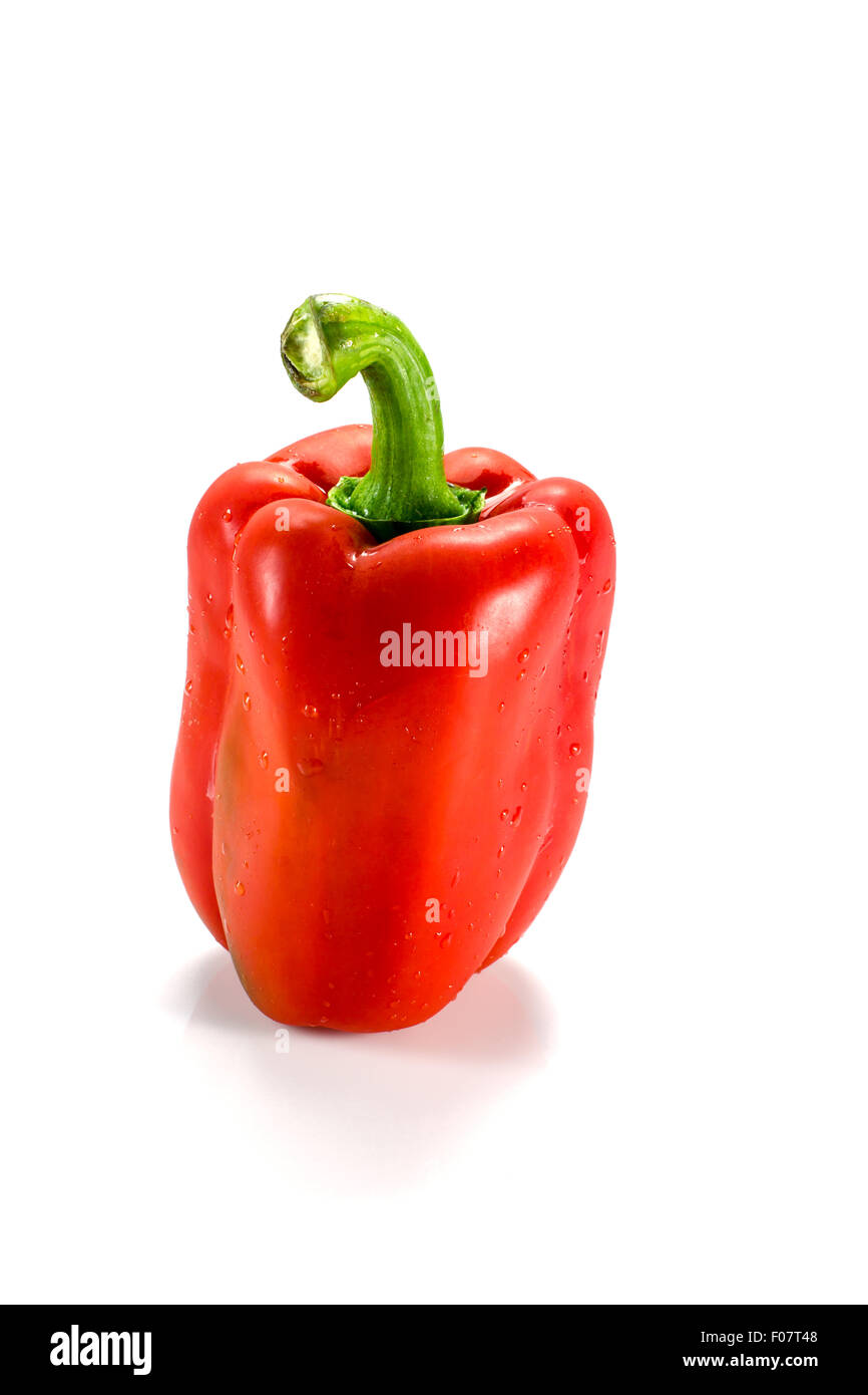 Fresh red pepper on the white background Stock Photo - Alamy