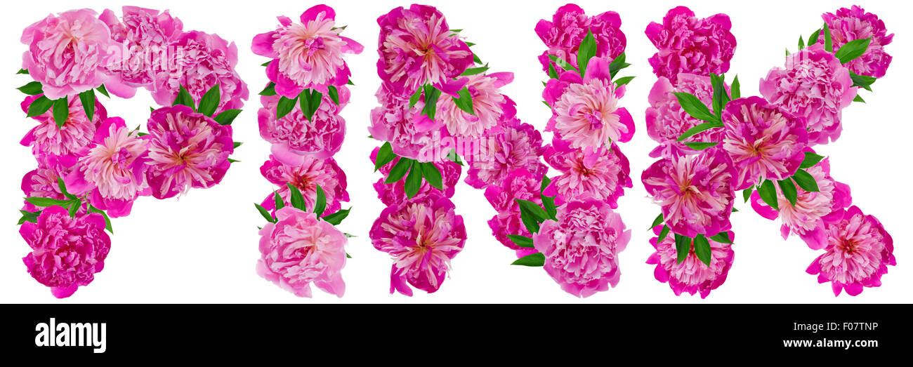 The word - Pink- is made of pink summers peonies flowers. Isolated ...
