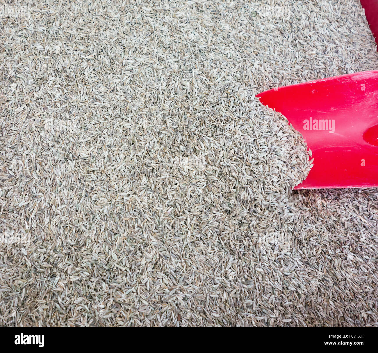 Cumin seeds market hi-res stock photography and images - Alamy