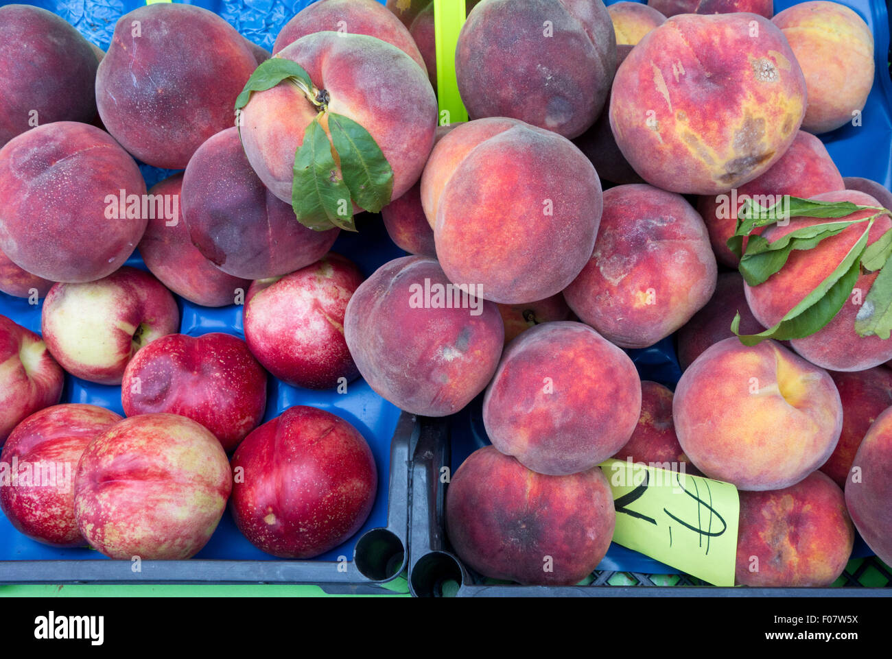 peaches on a market Stock Photo - Alamy