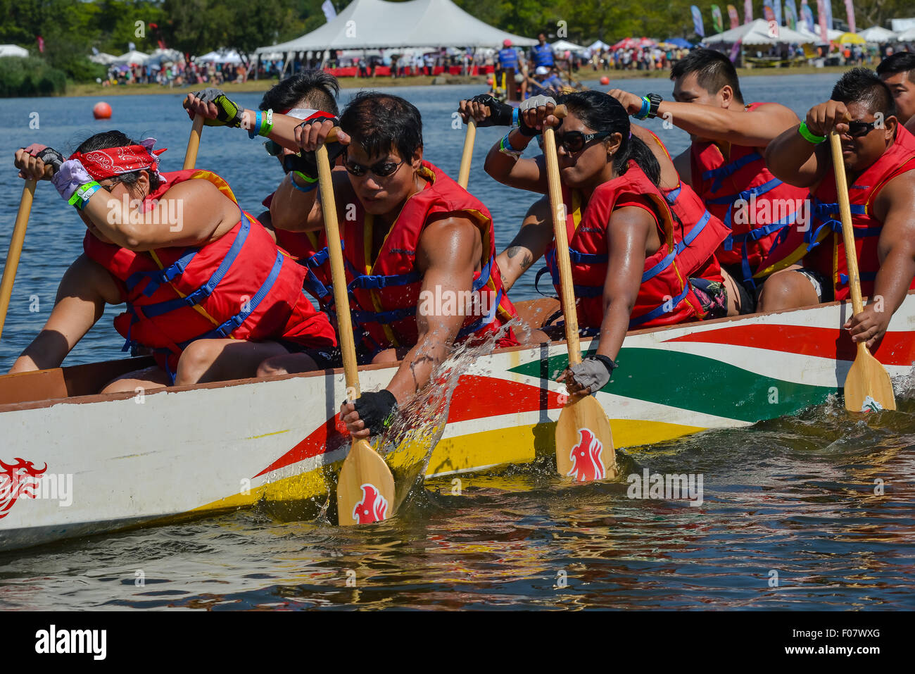 Queens, United States. 09th Aug, 2015. Crew members of a dragon boat ...