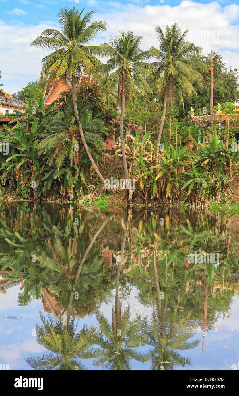 asian tropical landscape Stock Photo - Alamy