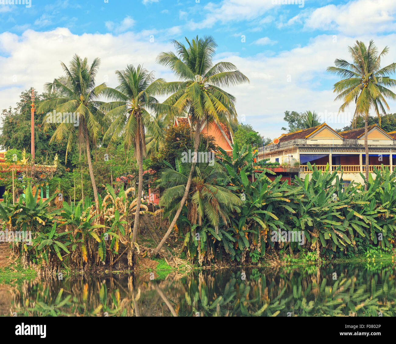 asian tropical landscape Stock Photo - Alamy