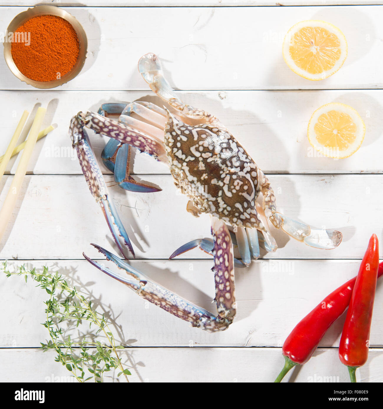 Overhead view raw blue crab and ingredients ready to cook, on bright ...