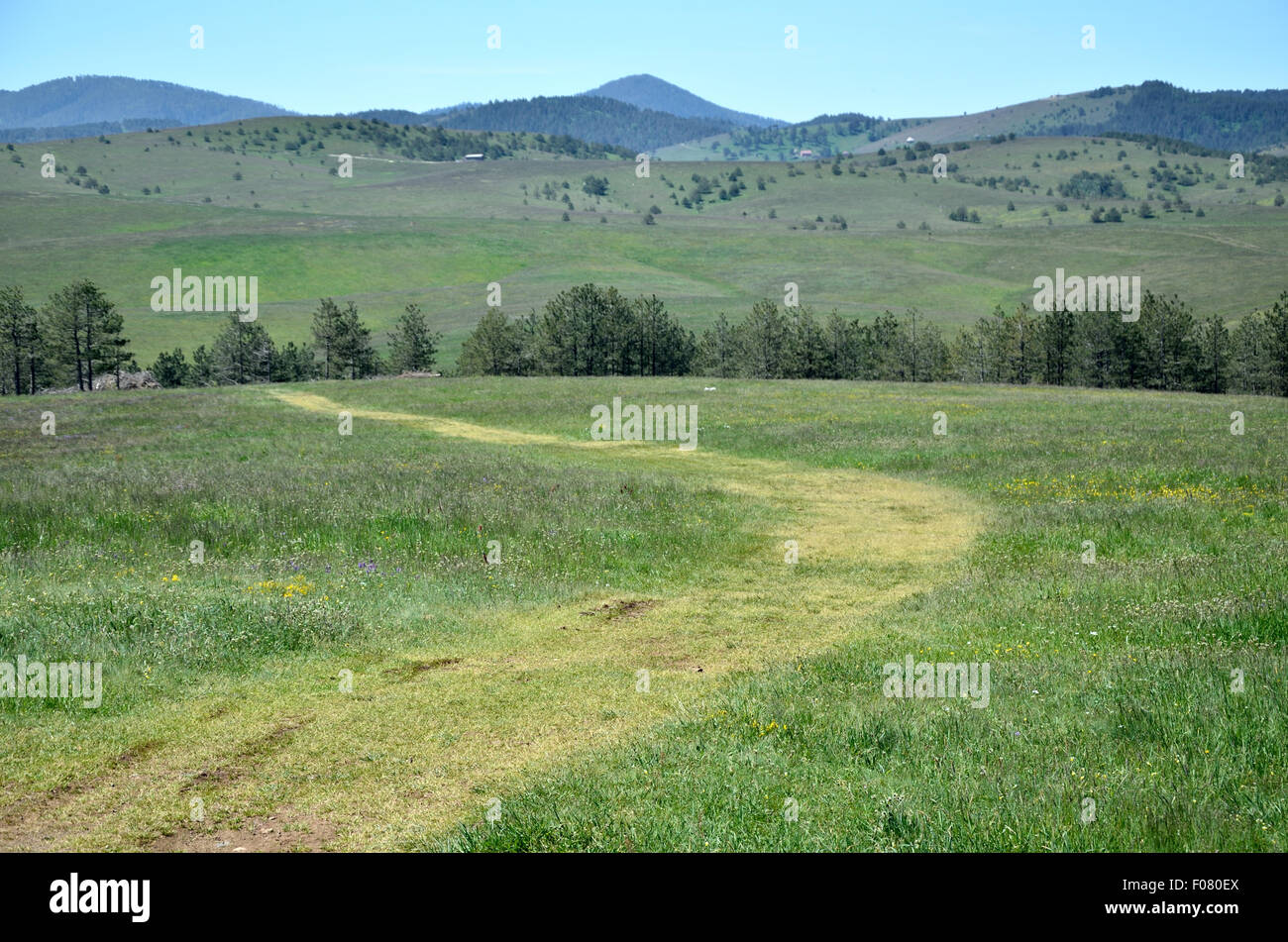 Path through green field to hills and mountains Stock Photo - Alamy