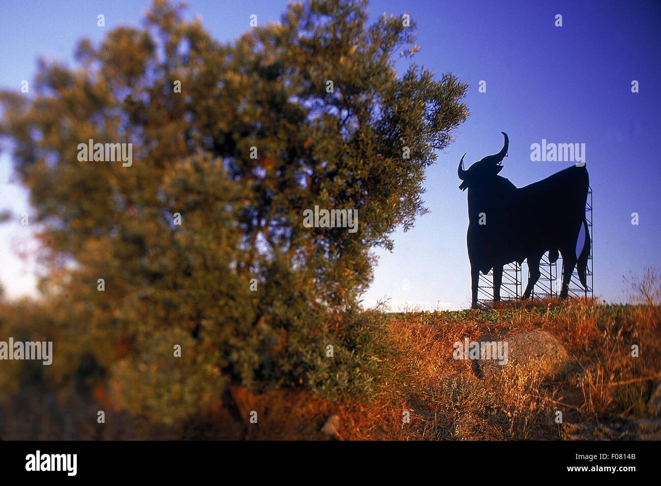 Oversized bull as a trade-mark of Bodega Osborne Stock Photo - Alamy