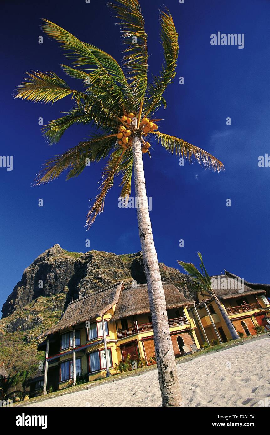 Spa dinarobin hotel hi-res stock photography and images - Alamy