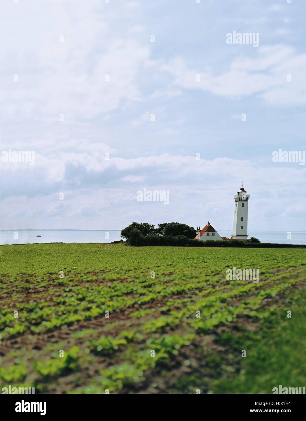 View of field and field tower in Funen, Denmark Stock Photo - Alamy