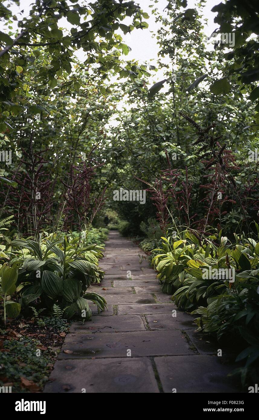 Overgrown paved pathway through garden Stock Photo - Alamy