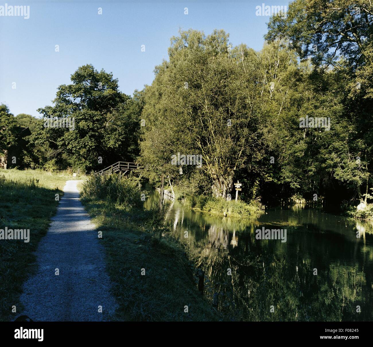 Narrow pathway by river and fruit tree on side, Spreewald Stock Photo ...