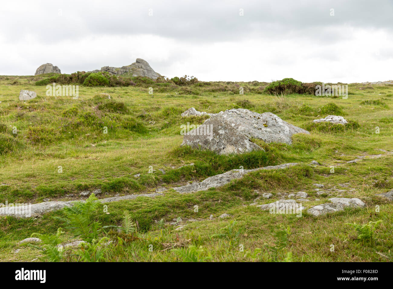 Haytor Granite Tramway, Dartmoor Park, Devon, UK. The tramway was built ...