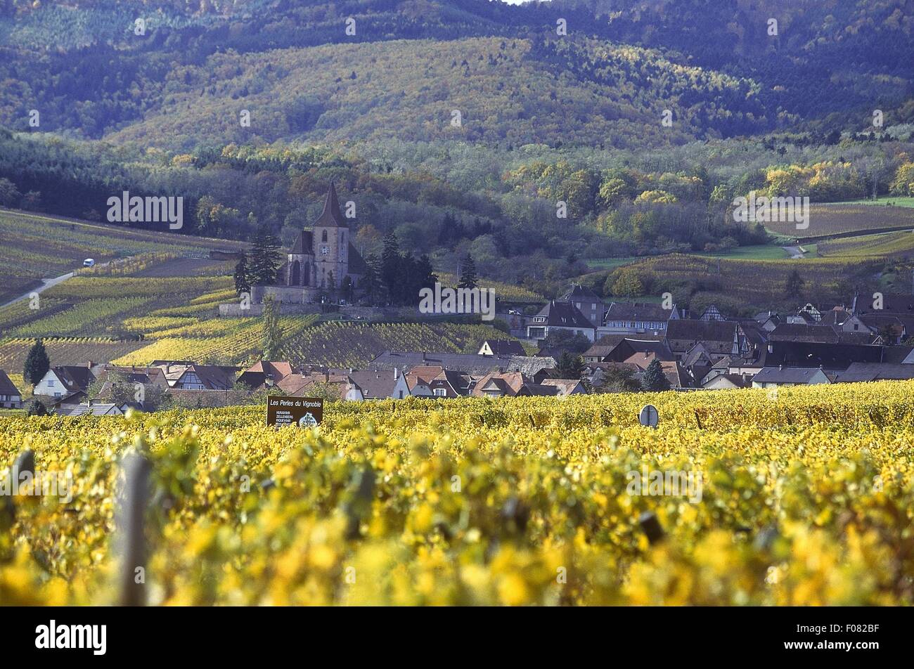 Meadows and fields with location overview hi-res stock photography and ...
