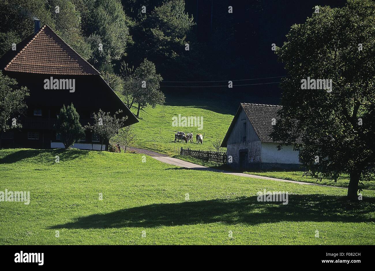 Landscape in Baden, Switzerland Stock Photo - Alamy