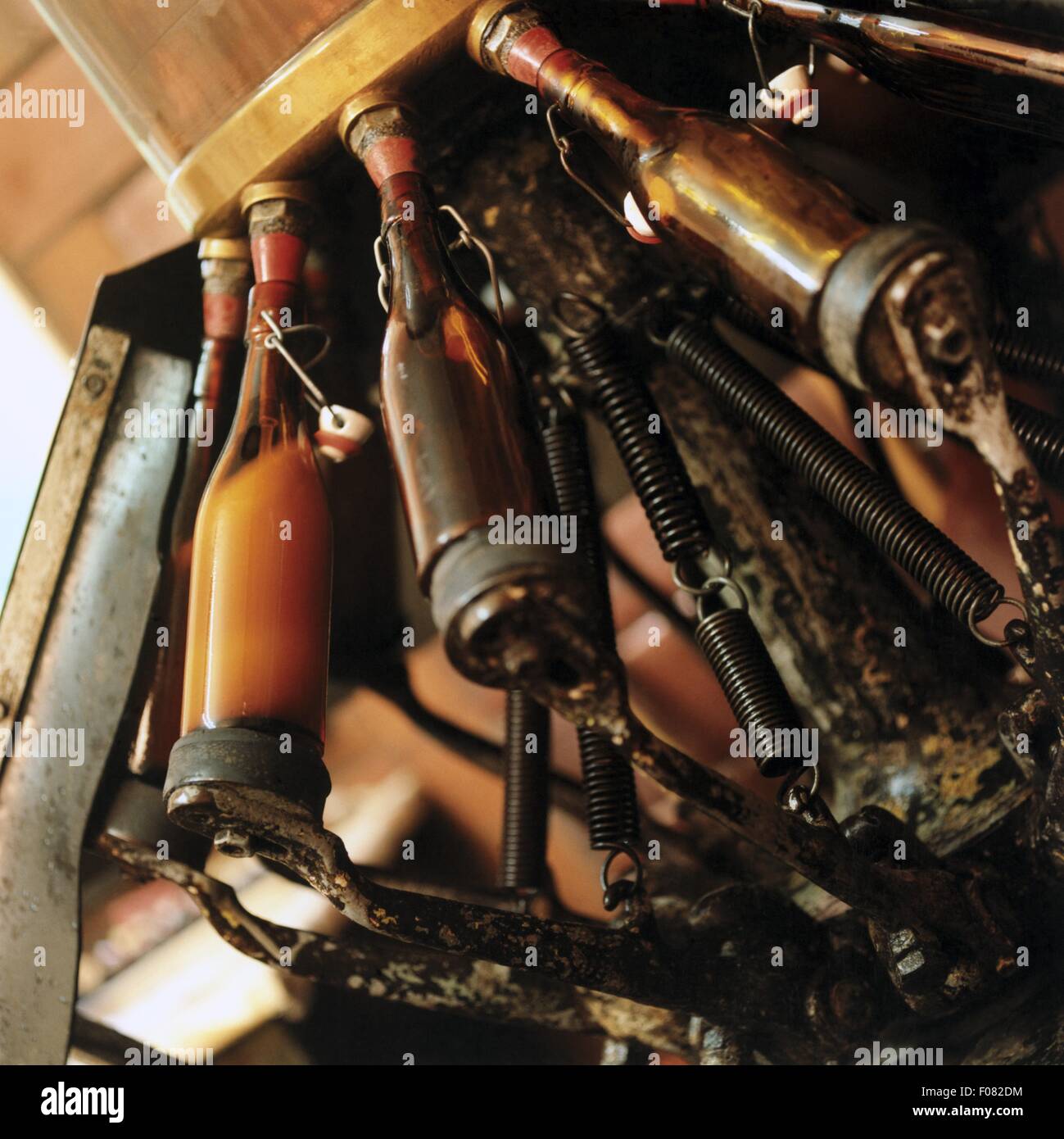 Close-up of beer in flip top bottles Stock Photo - Alamy