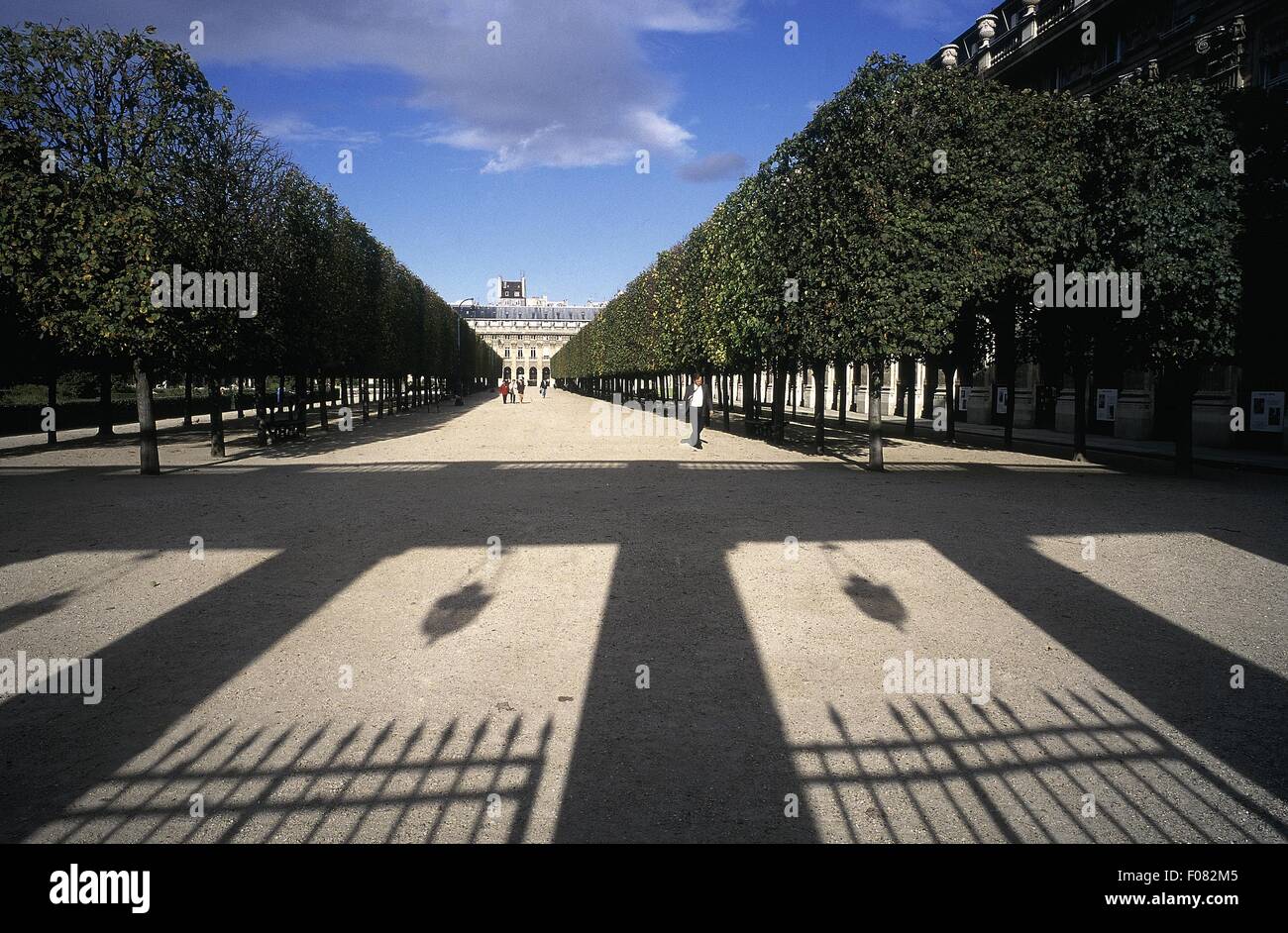 Row of trees paris hi-res stock photography and images - Alamy