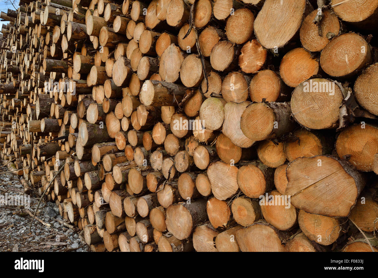Timber stack hi-res stock photography and images - Alamy