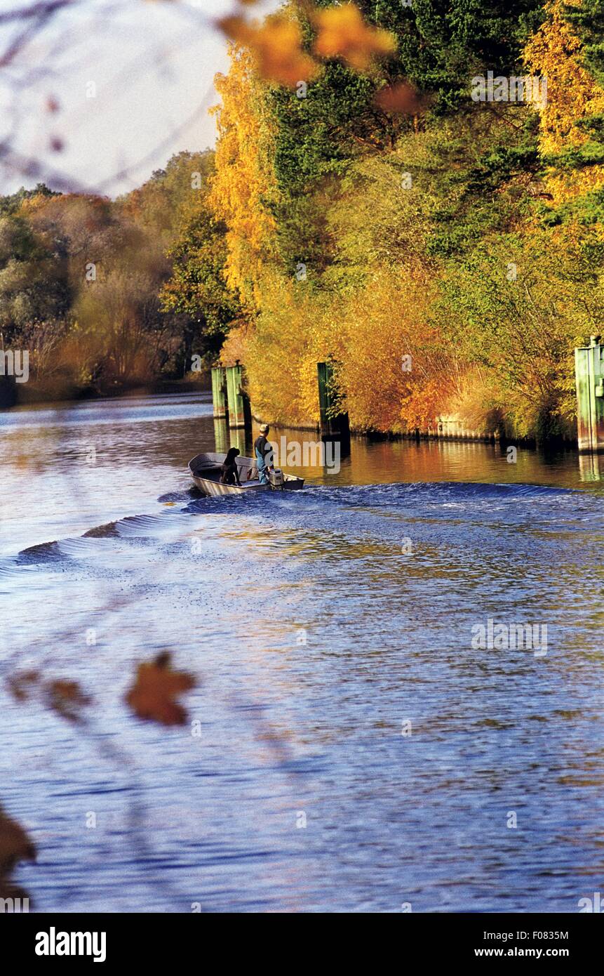 Man and dog in boat hi-res stock photography and images - Alamy